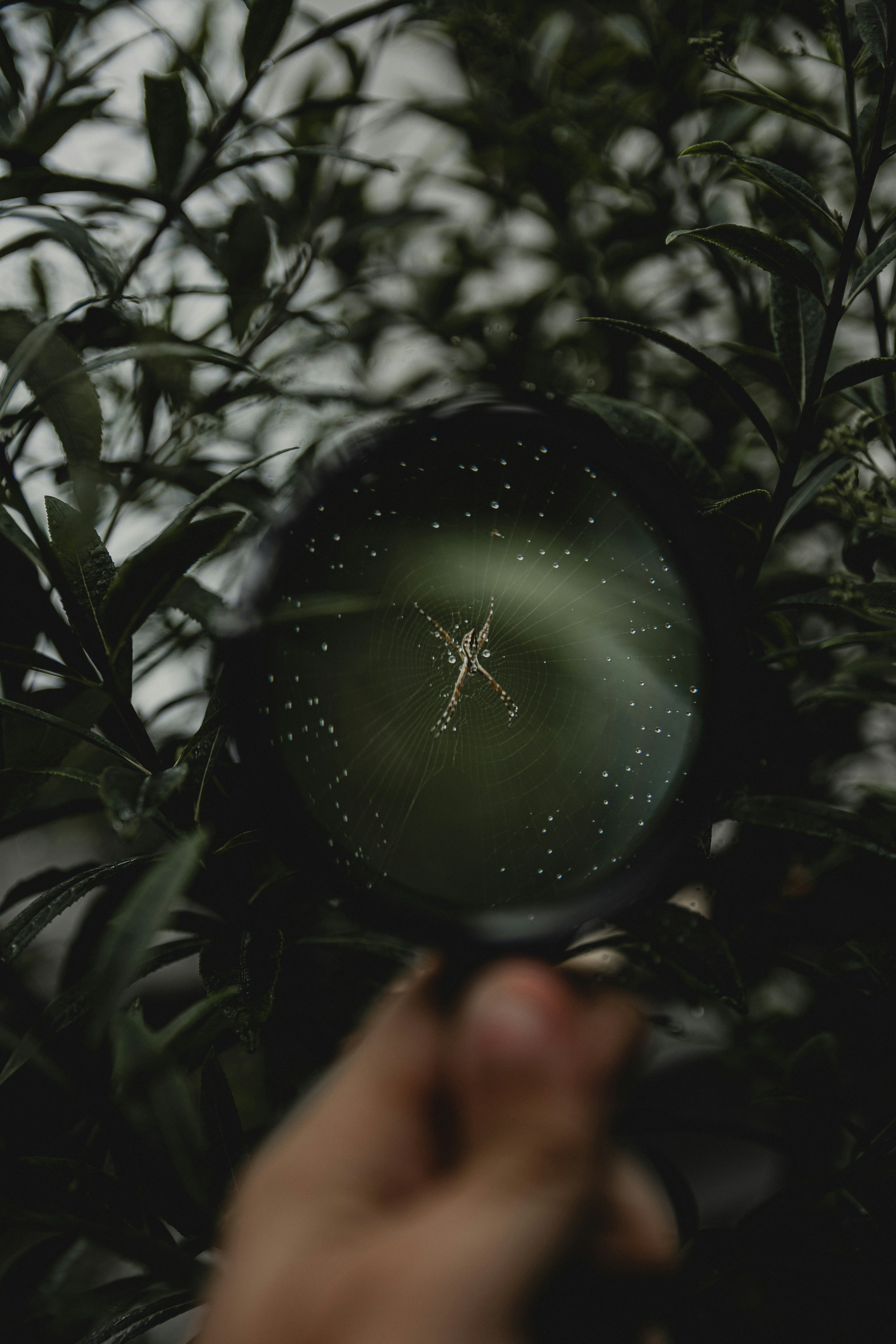 Best Tools to Find YouTube Influencers: A Comprehensive Comparison